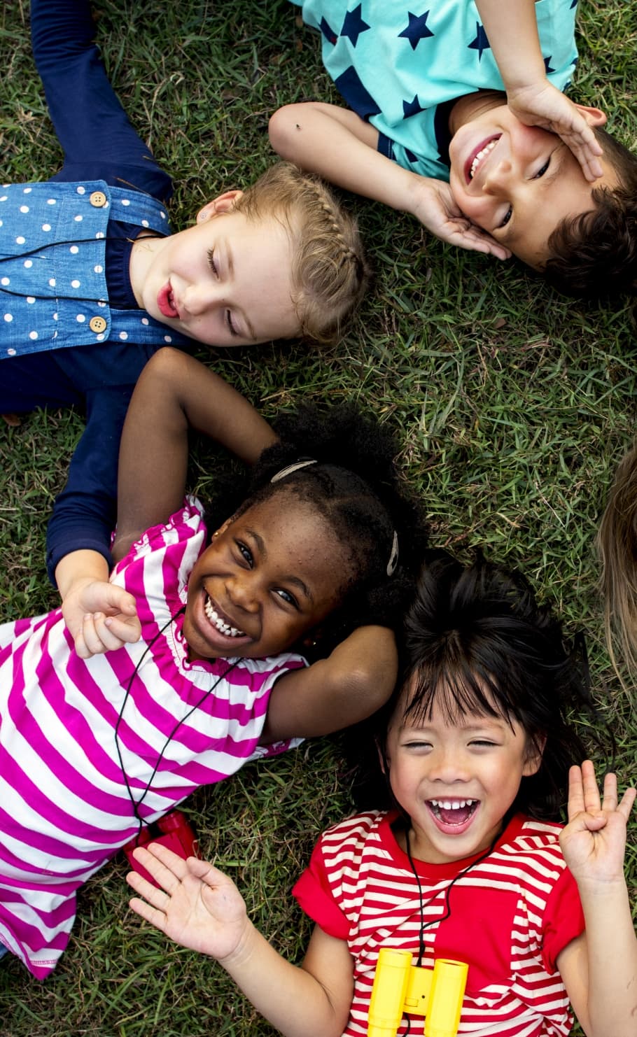 Operation Food Search | Annual Report 2022